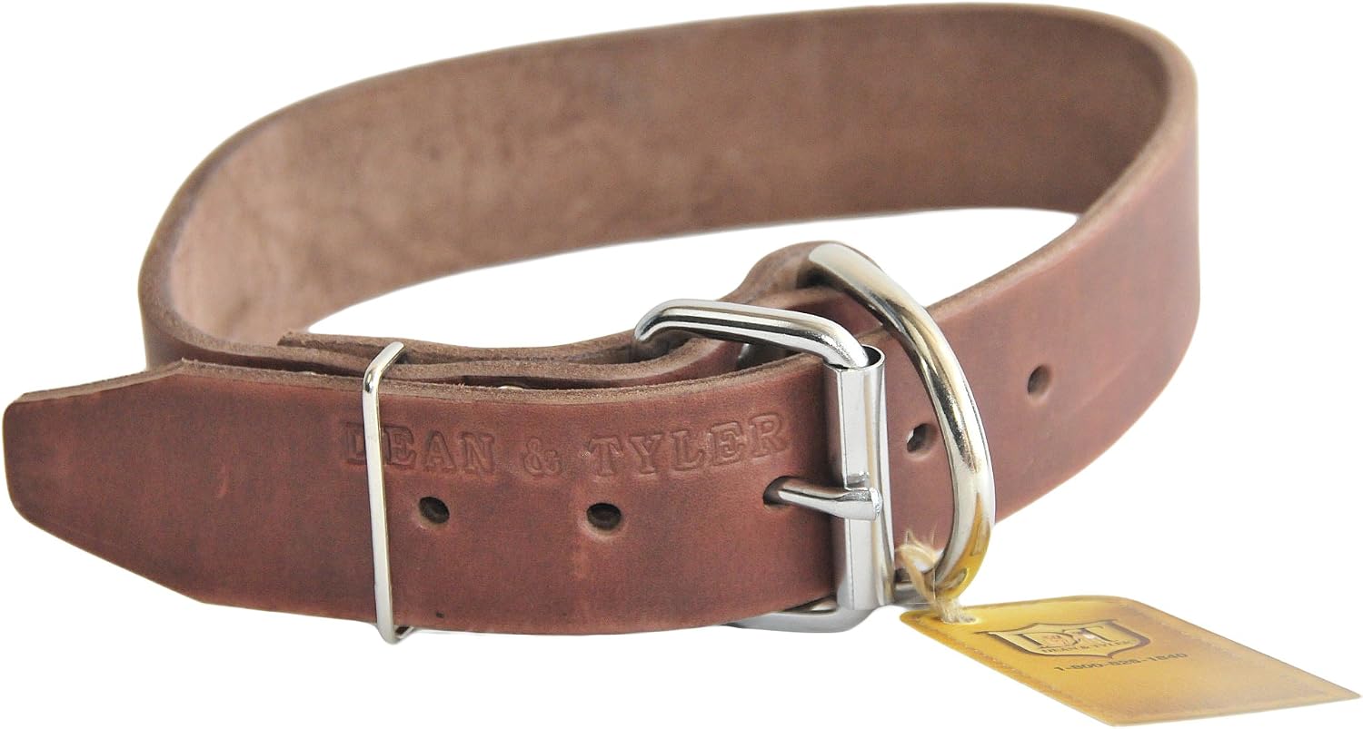 Amazon.com : Dean & Tyler B and B Basic Dog Collar with Quality ...
