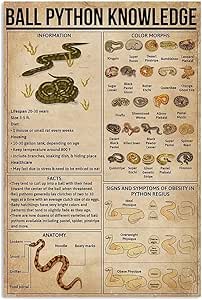 Amazon.com : Ball Python Knowledge Metal Tin Signs Ball Python ...