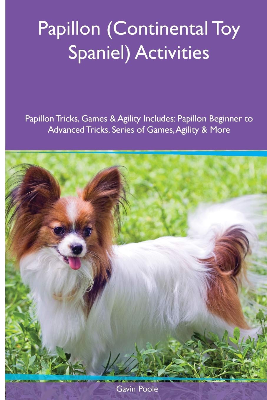 Papillon (Continental Toy Spaniel) Activities Papillon Tricks, Games ...