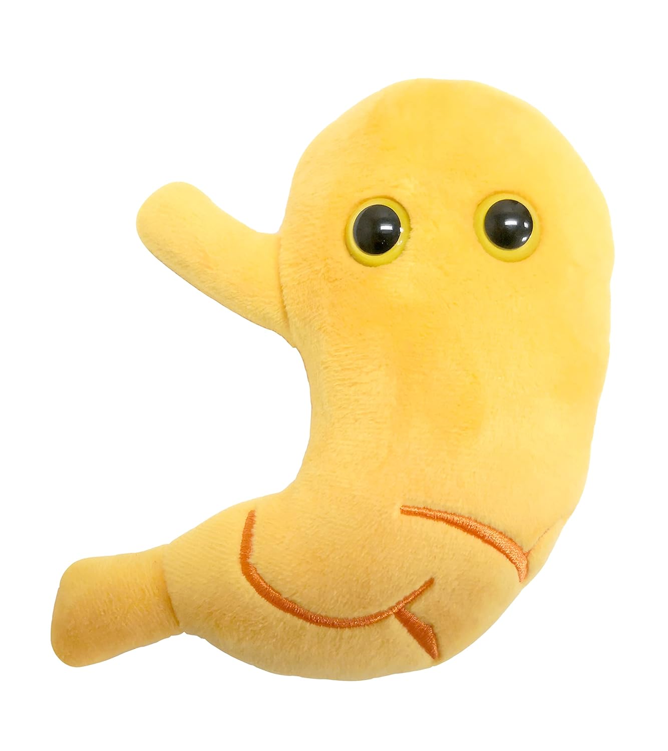 Buy GIANTmicrobes Stomach Plush, Gastric Bypass Must Haves, Bariatric ...