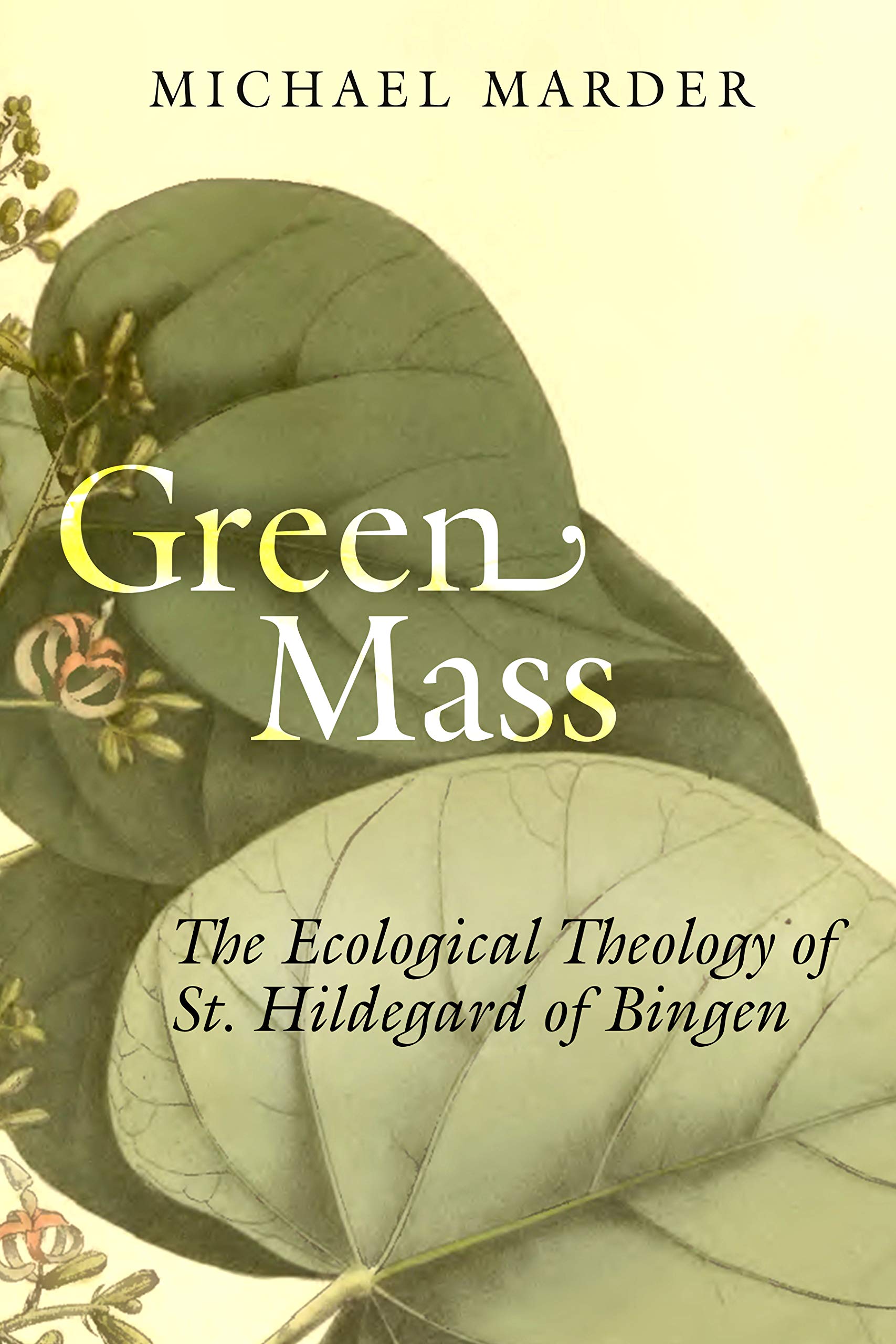 Snapklik.com : Green Mass: The Ecological Theology Of St
