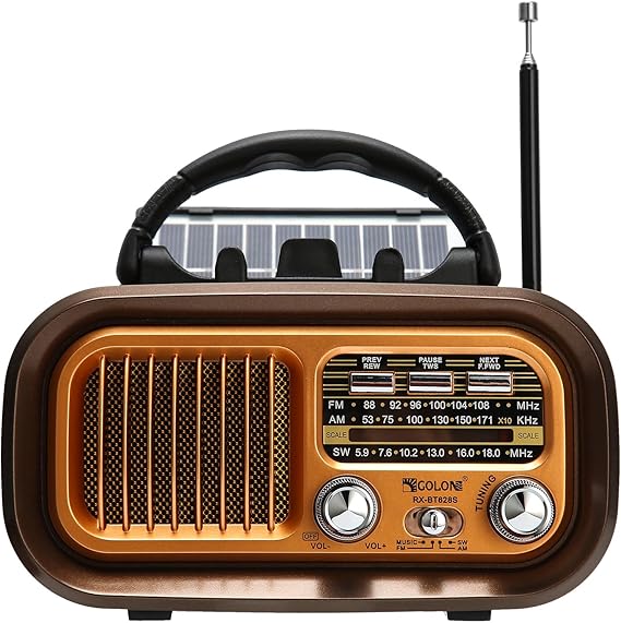 Amazon.com: Portable Retro Radio, Small Vintage AM FM Shortwave Radio ...