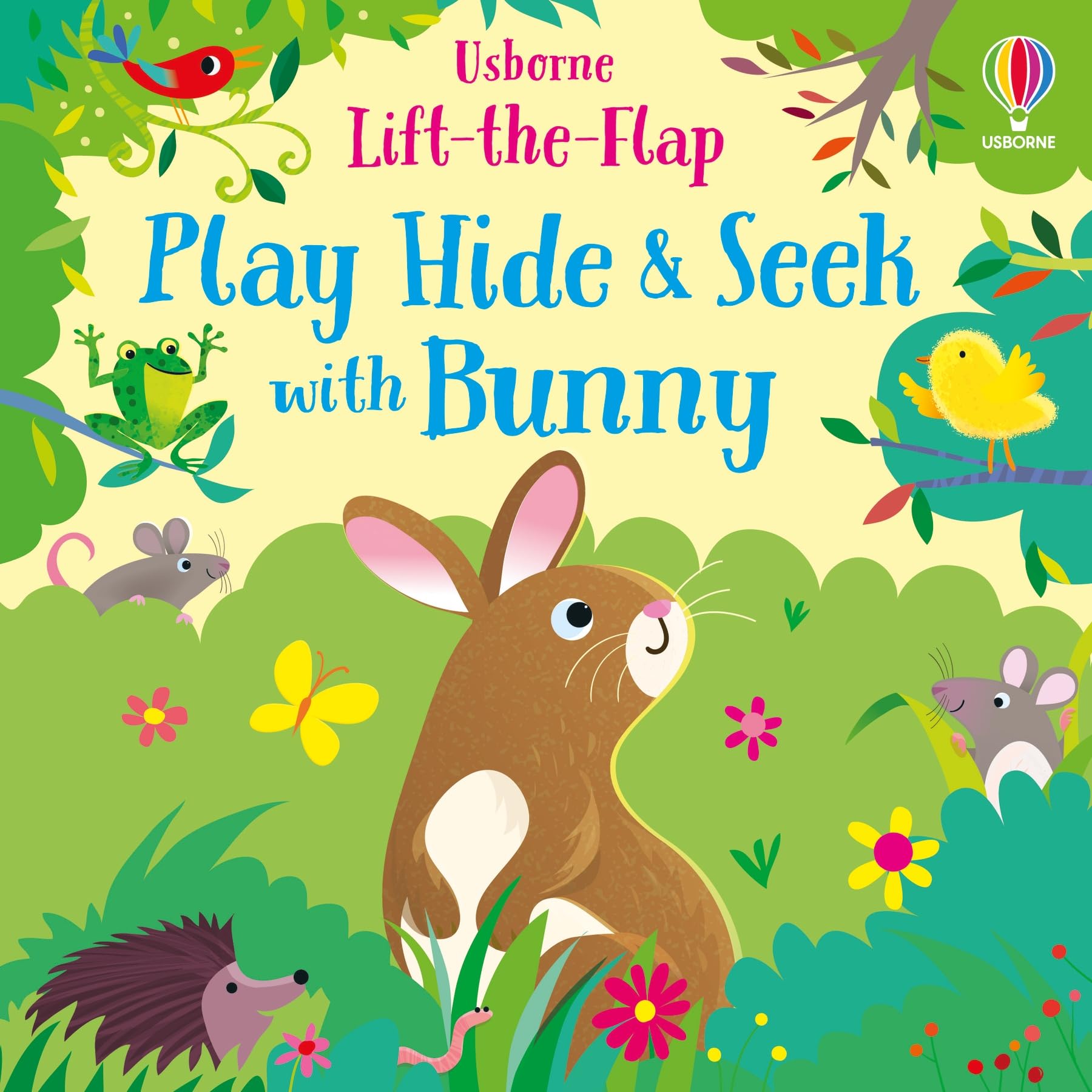 Play Hide and Seek with Bunny (Play Hide & Seek, 4): 9781474985239 ...