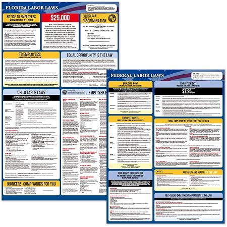 Amazon.com : 2022 Florida State and Federal Combo Complete All-in-One ...