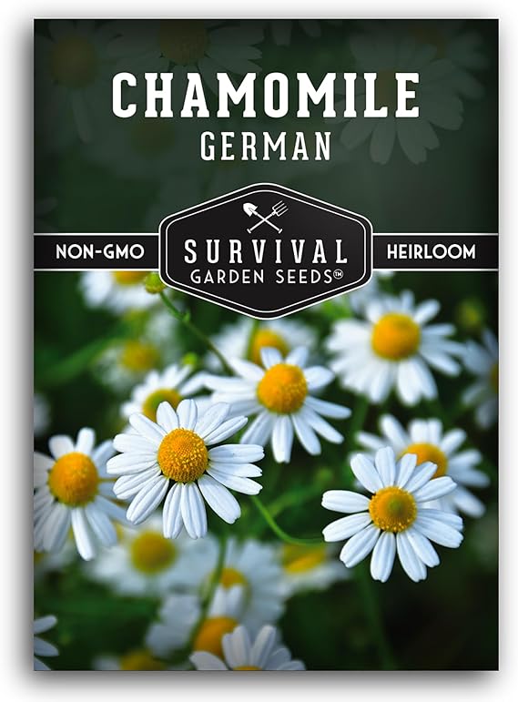 Amazon.com : German Chamomile Seeds for Planting – Heirloom Tea Herb ...