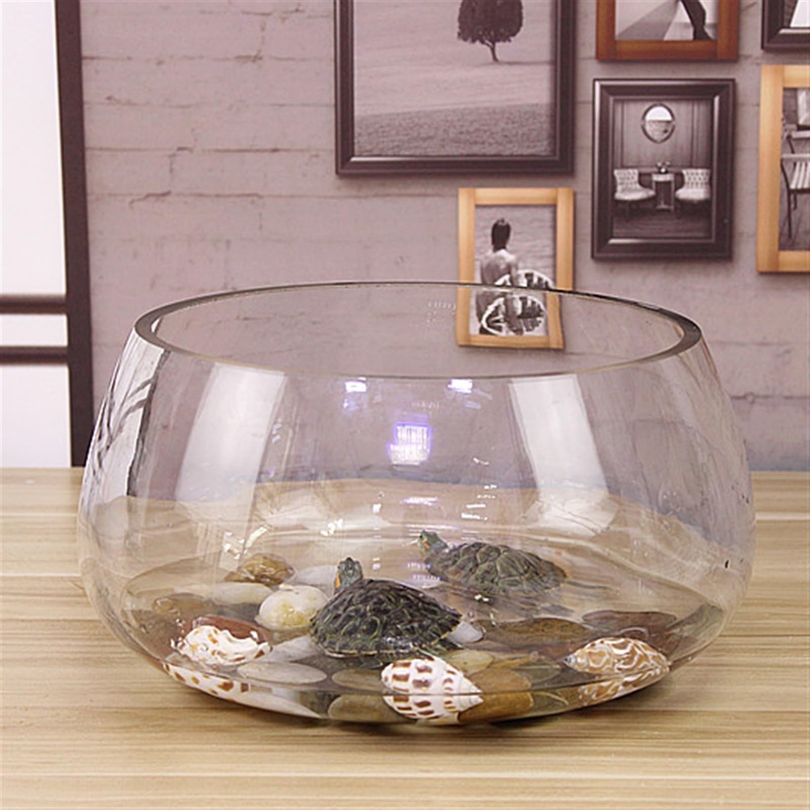 Betta Bowl Fish Bowl Creative Desktop Glass Aquarium Tank With Raised ...