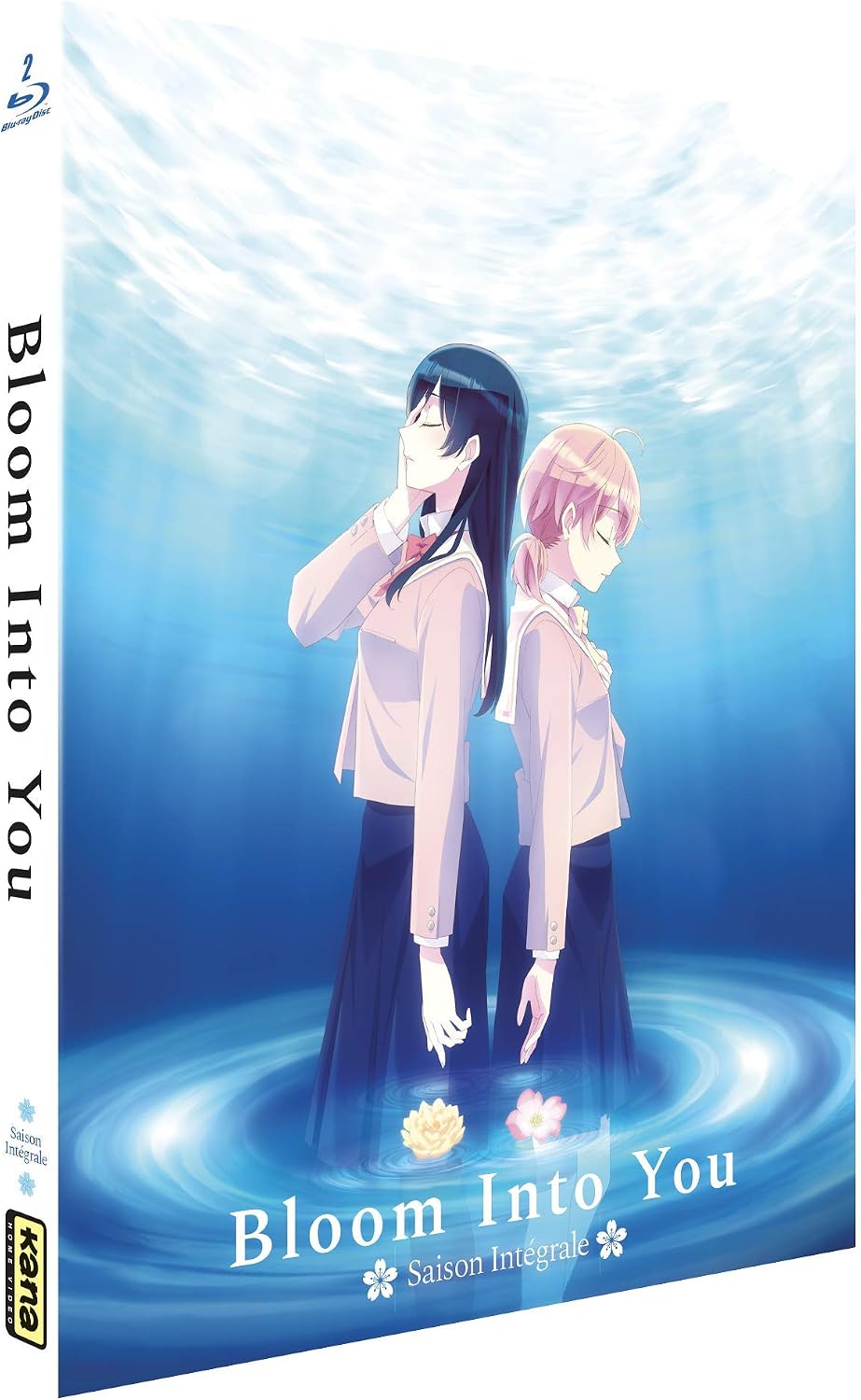 Bloom Into You-Intégrale Edition Bluray [Blu-Ray]: Amazon.ca: Movies ...