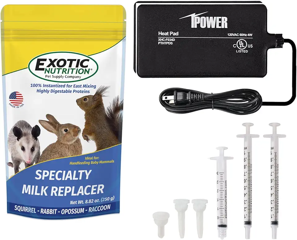 The Essential Guide To Feeding Baby Rabbits: A Complete Beginner's ...