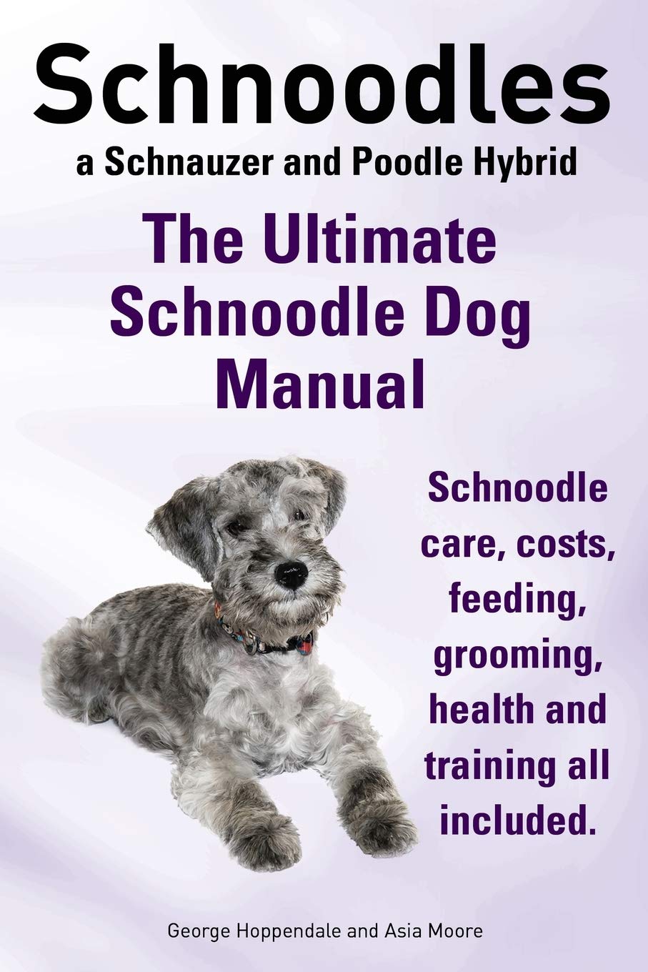 What Health Problems Do Schnoodles Have