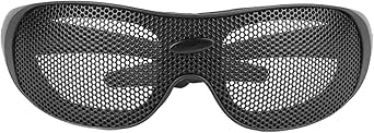 Amazon.com: GYZOUKA Windproof Goggles,Wire Mesh Safety Goggles ...