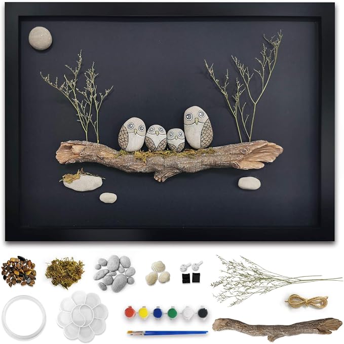 Amazon.com: DIY Kits for Adults, Framed Rock Art Painting Kit, Craft ...