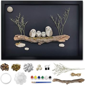 Amazon.com: DIY Kits for Adults, Framed Rock Art Painting Kit, Craft ...