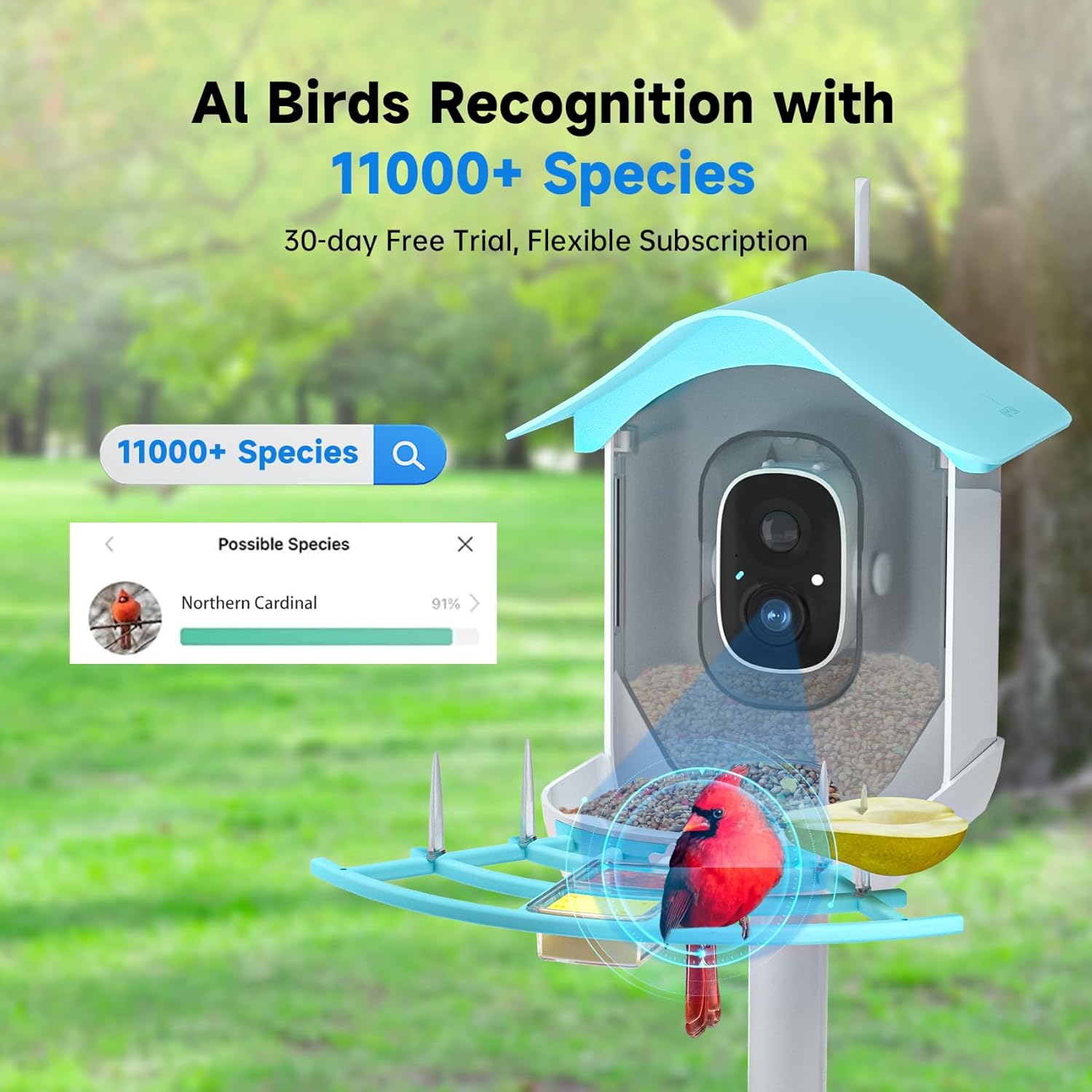Smart Bird Feeder Camera with AI Identify Bird Species Solar Panel ...