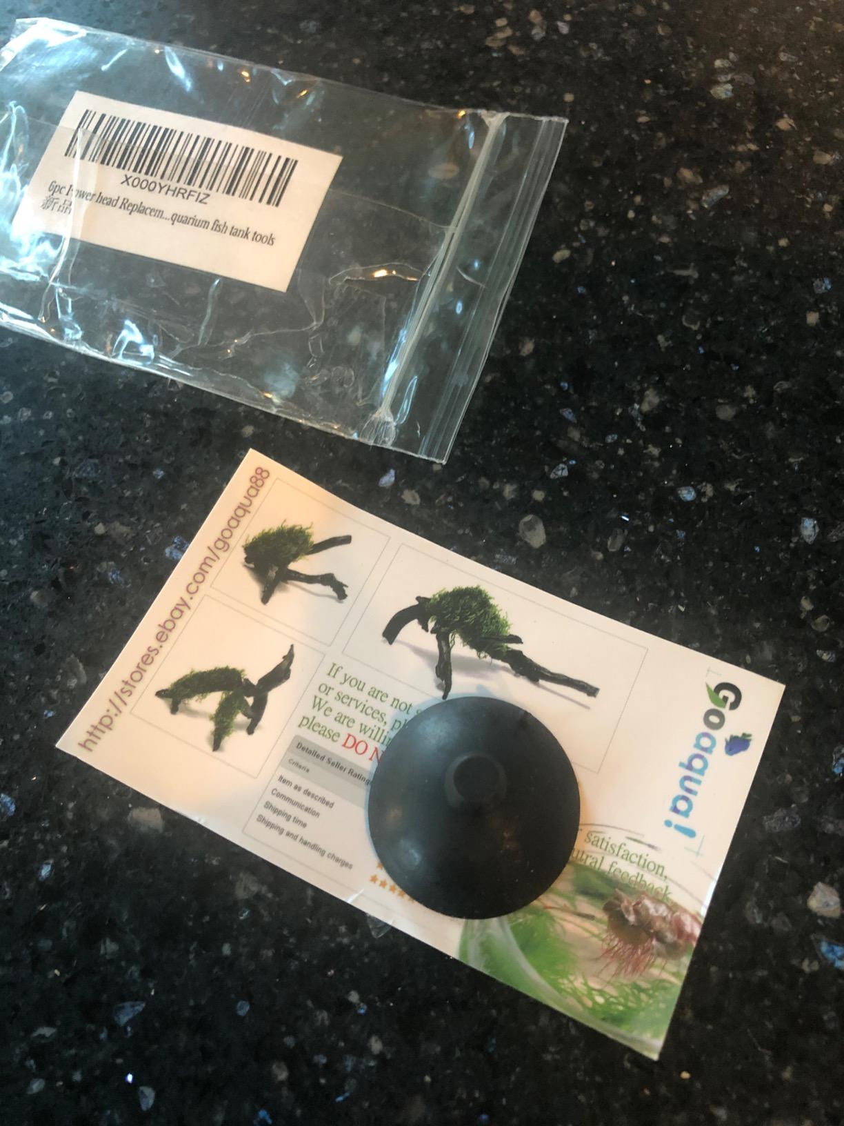 Amazon.com : CORISRX BEST OF YOUR LIFESTYLE 6pc Power Head Replacement ...