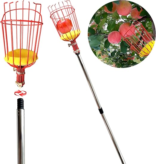 4.3M Fruit Picker, Apple Picker with Telescopic Handle, Fruit Picker ...