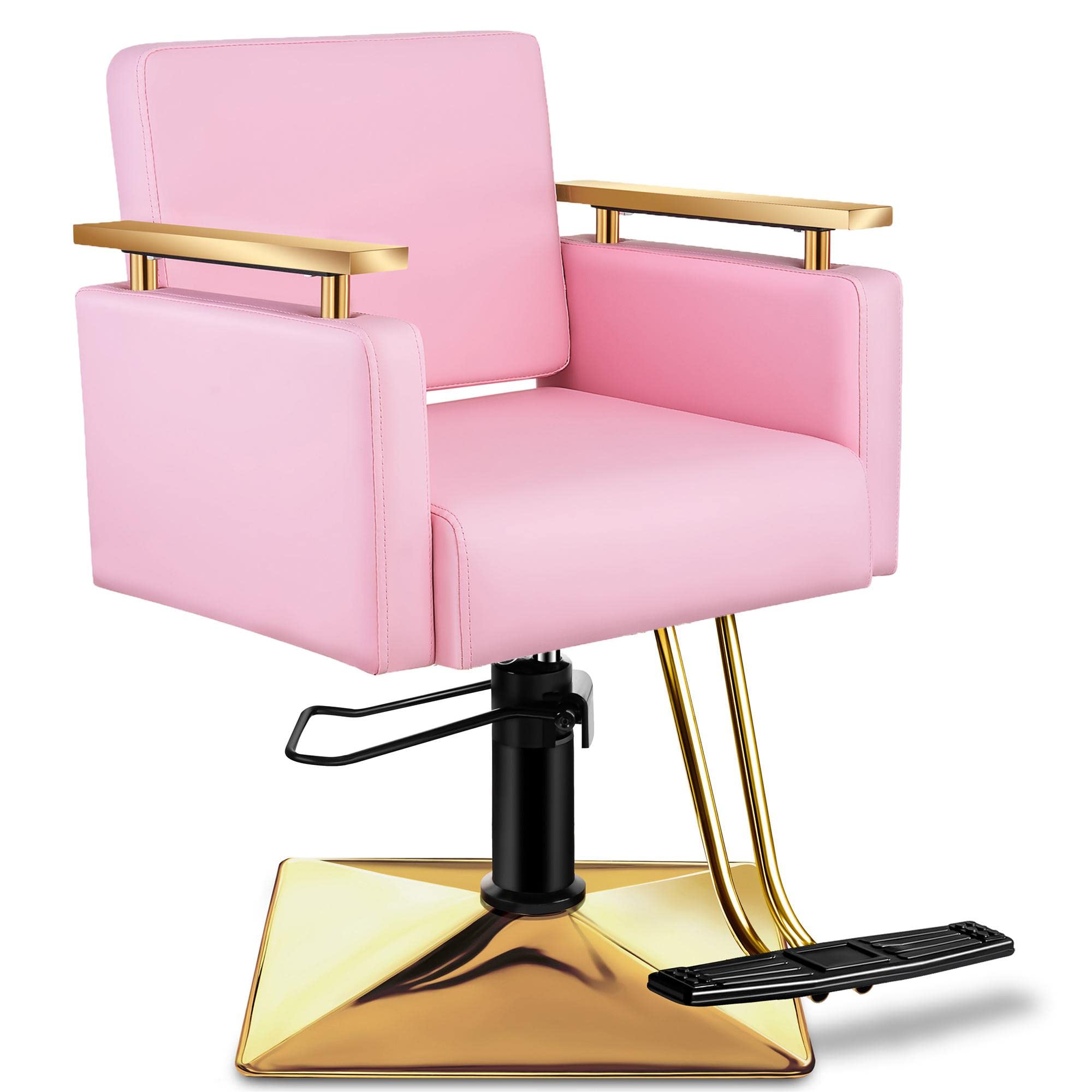 Baasha Salon Chair, Barber Chair with Stainless Steel Armrest, Salon ...