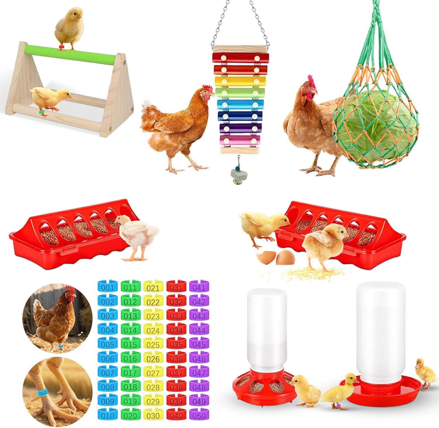 Amazon.com: SYPEPJI Chick Feeder and Waterer Kit with Perch | 8-Piece ...