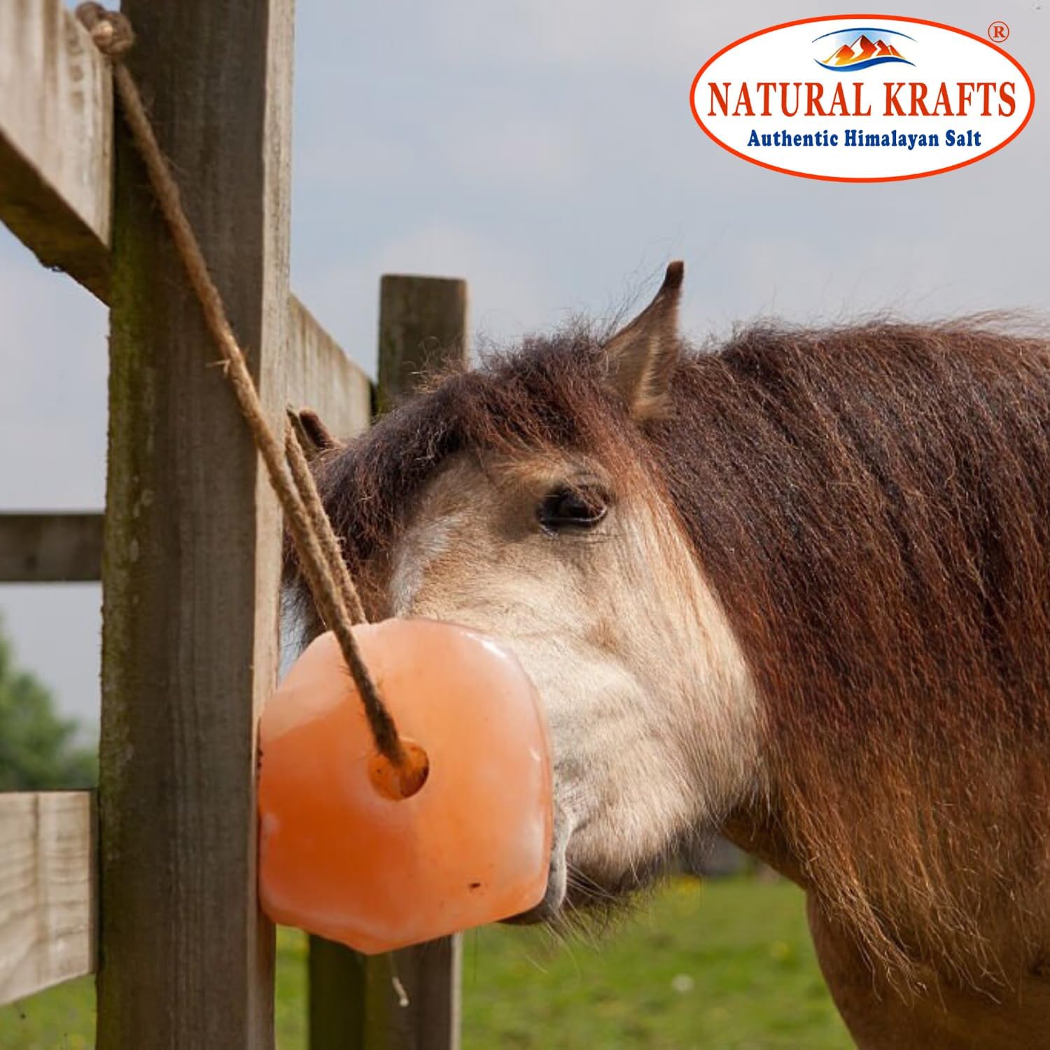 Himalayan Salt Lick on Ropes for Animals - All Natural Pure Mineral ...