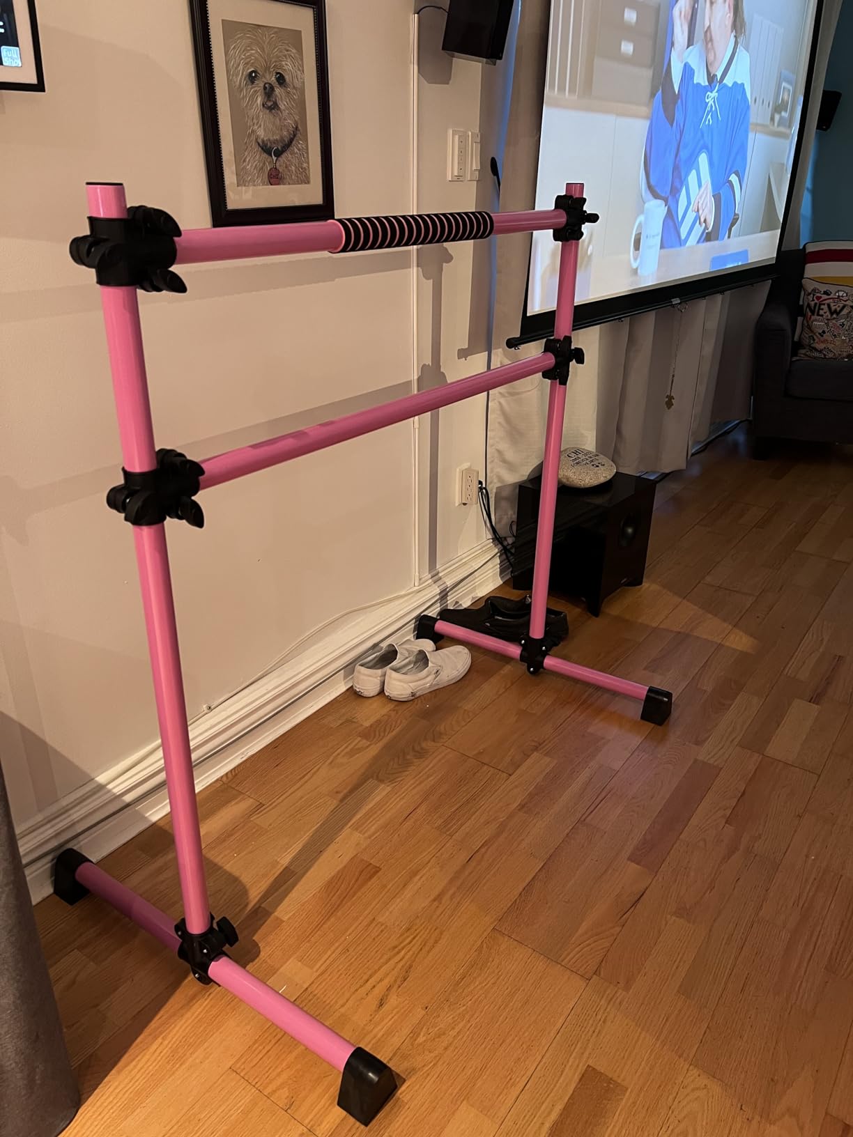 Portable Ballet Barre, 4FT Adjustable Freestanding Ballet Barre, Heavy ...