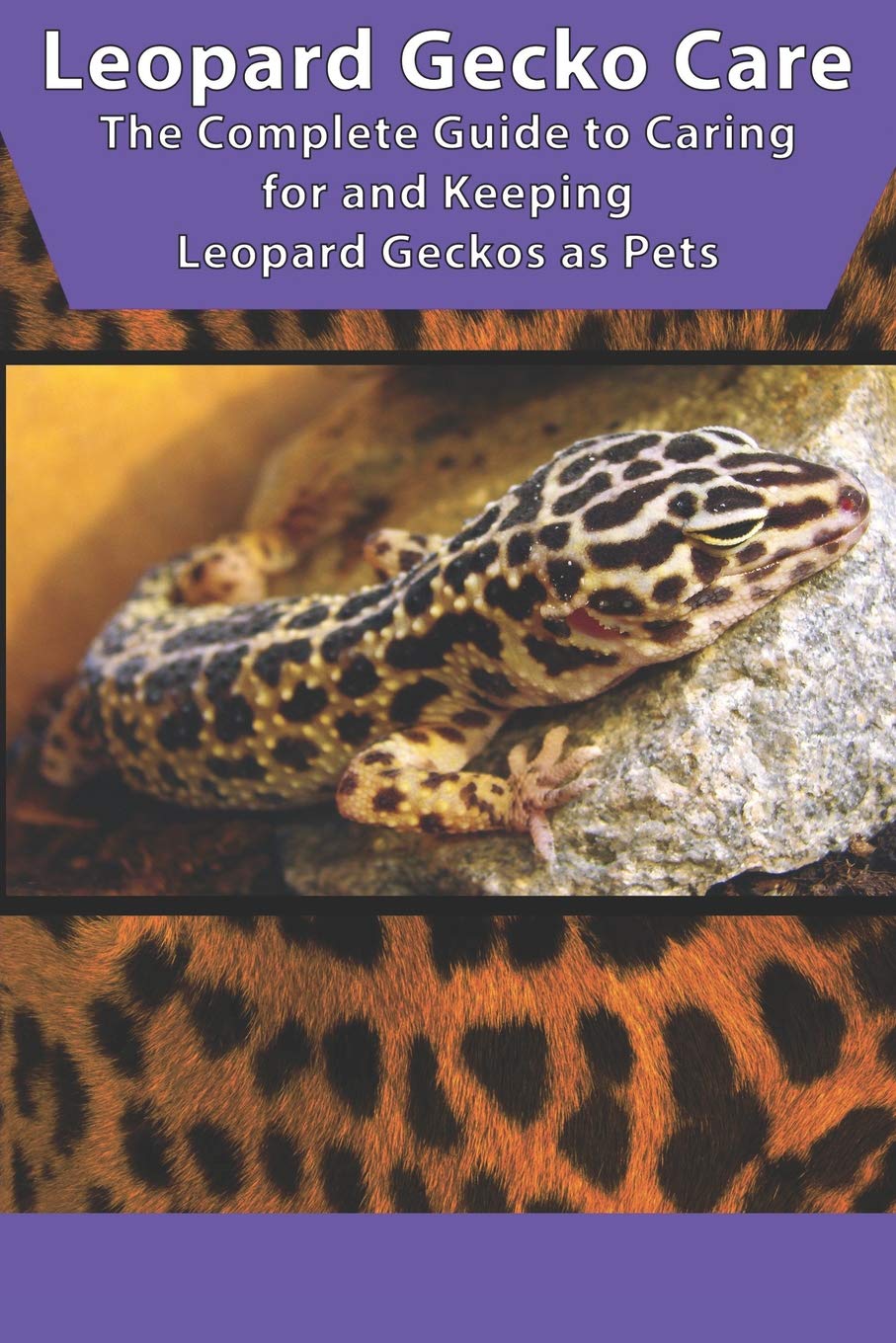 Amazon | Leopard Gecko Care: The Complete Guide to Caring for and ...