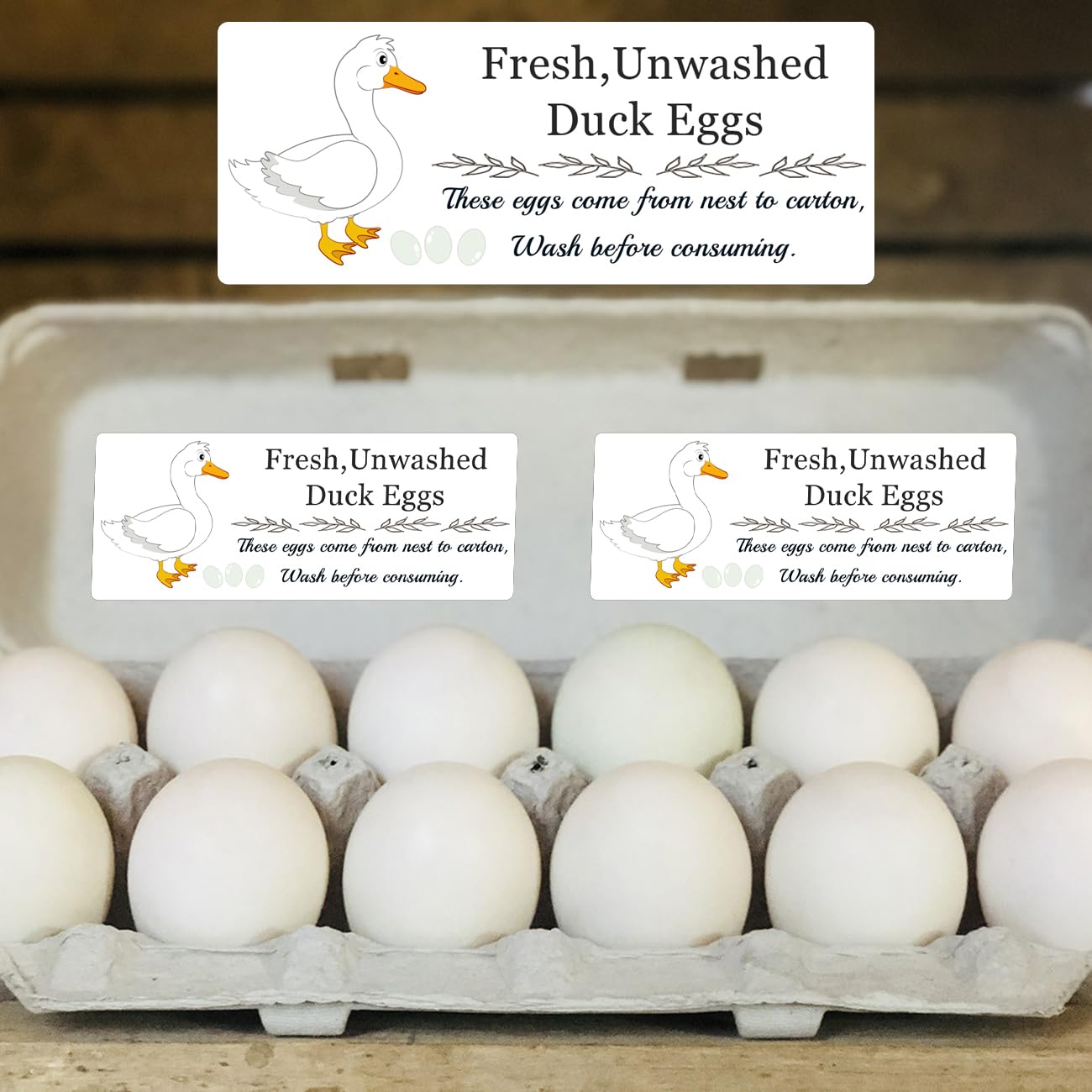 Snapklik.com : Unwashed Chicken Quail Duck Egg Carton Stickers 1 2.5 ...