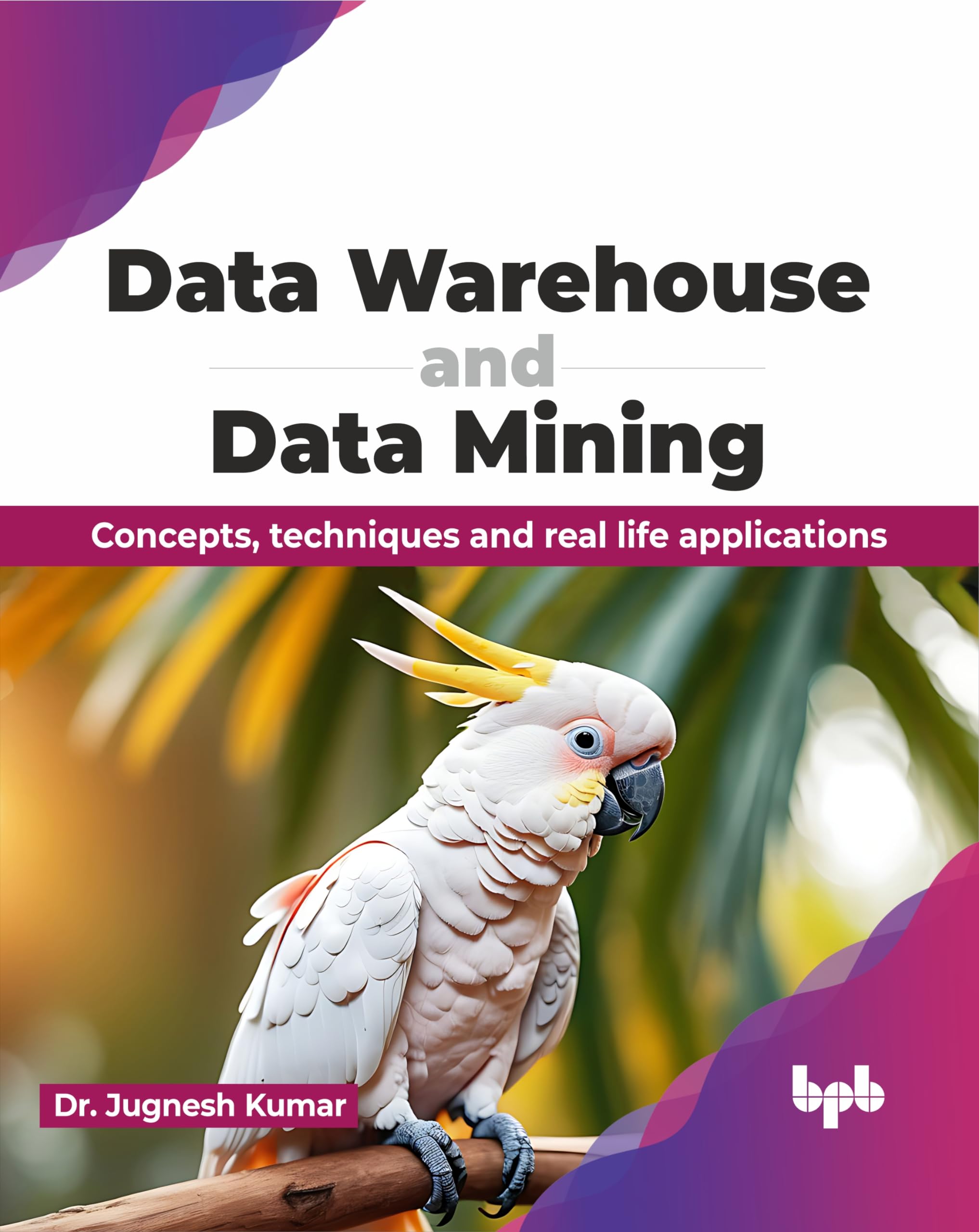 Buy Data Warehouse and Data Mining: Concepts, techniques and real life ...