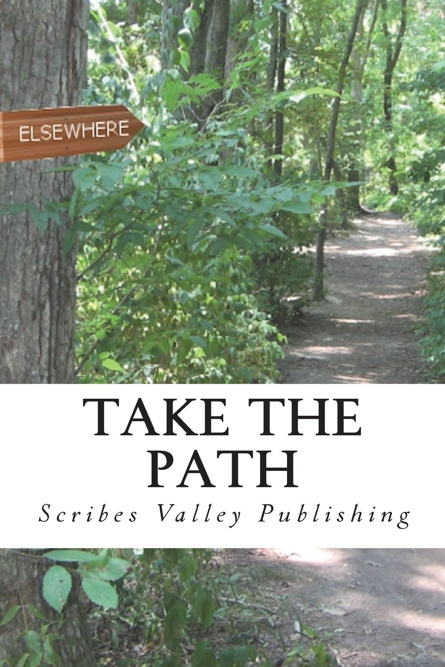 Take the Path: Edelstein, Ronna L., Rogers, Carrie, Friedman, Alex G ...