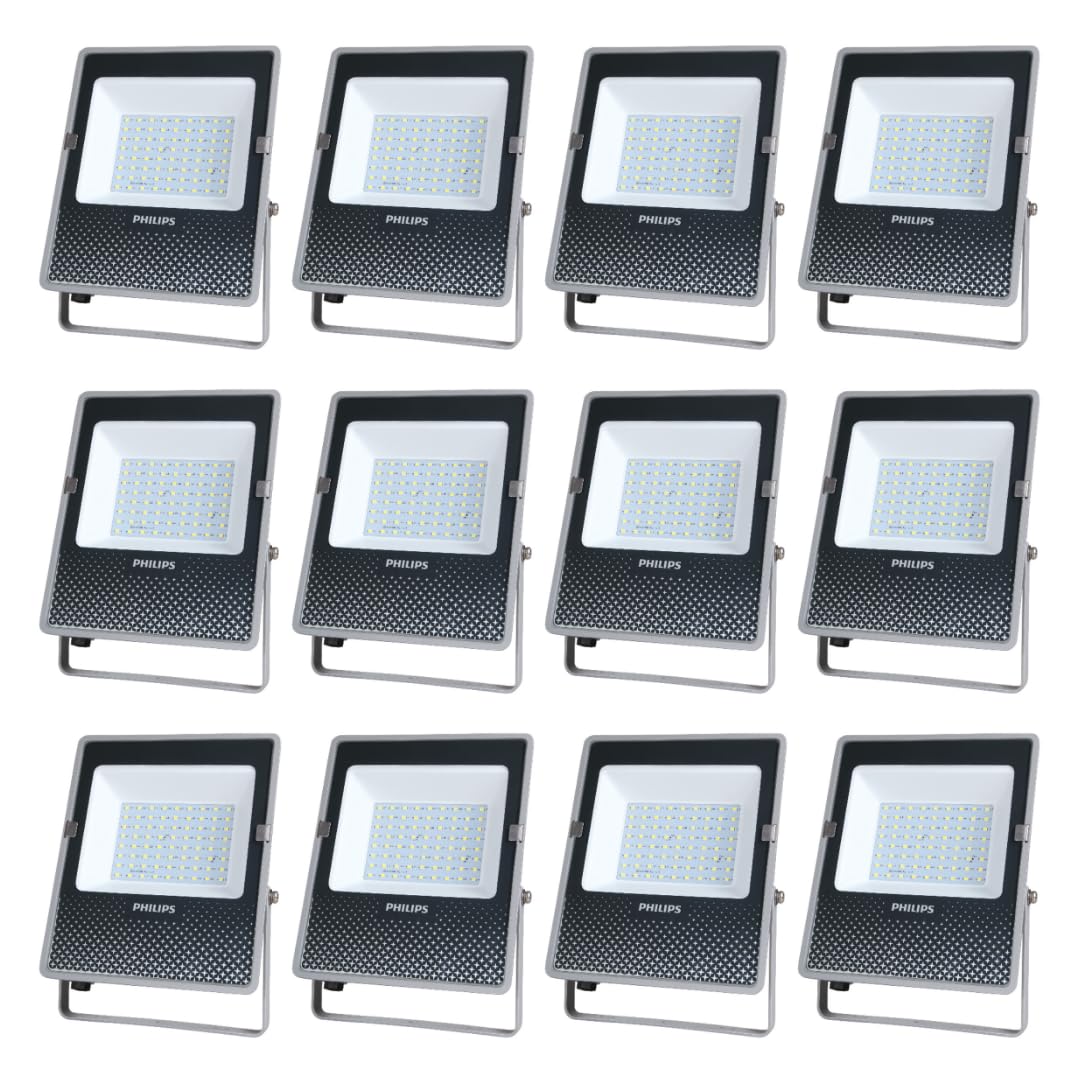PHILIPS 10-Watt LED Flood Light | BVP131 LED8 Flood Light for Garden ...