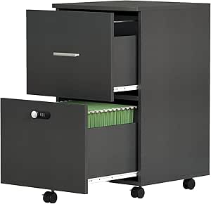 Amazon.com: Koifuxii 2 Drawer File Cabinet with Lock - Filing Cabinet 2 ...