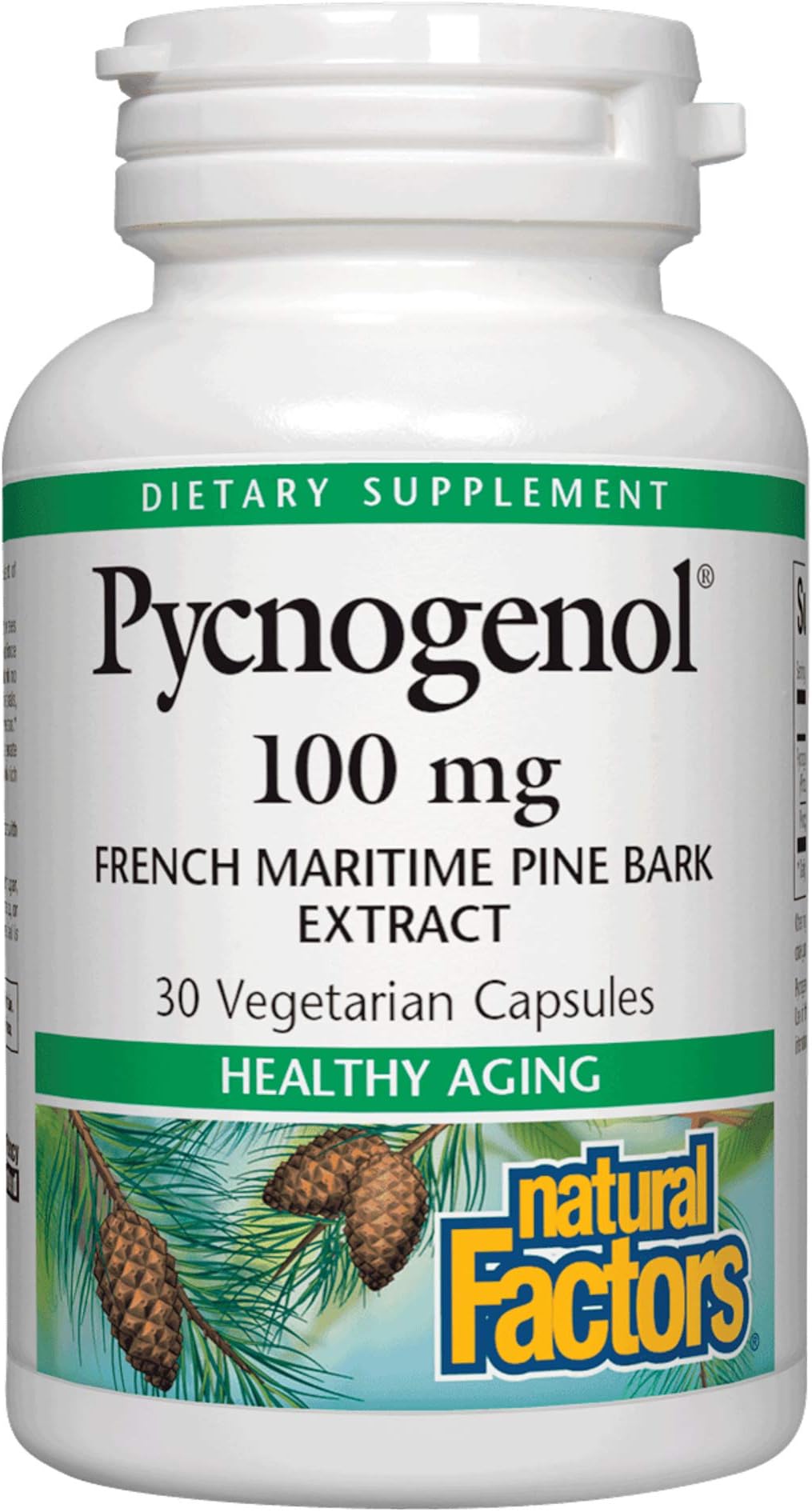 Amazon.com: Natural Factors, Pycnogenol 100 mg, Antioxidant Support for ...