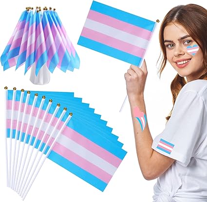 Amazon.com: Mixweer 100 Pcs Handheld Transgender Flag Mini Rainbow ...