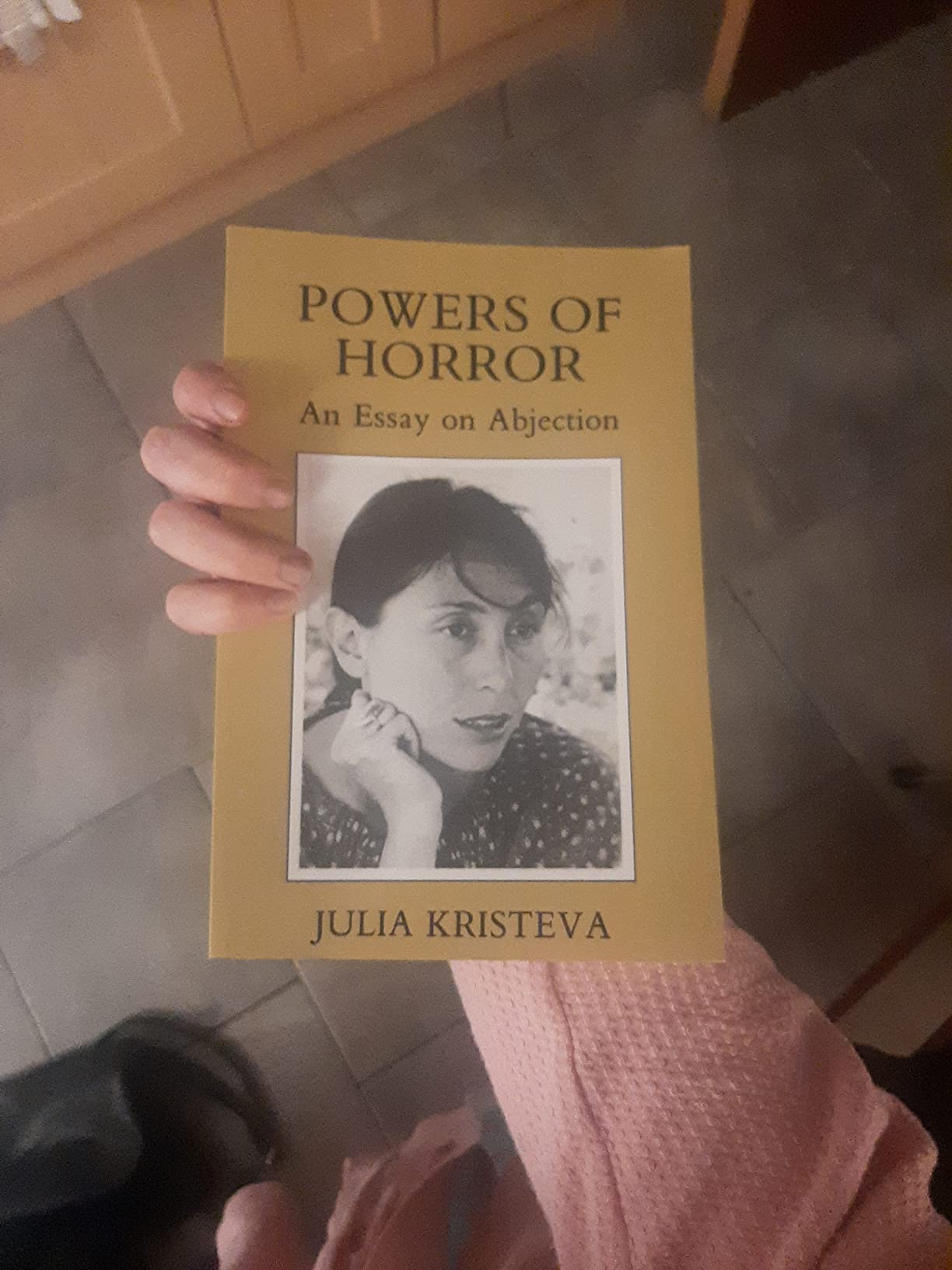 Powers of Horror: An Essay on Abjection (European Perspectives ...