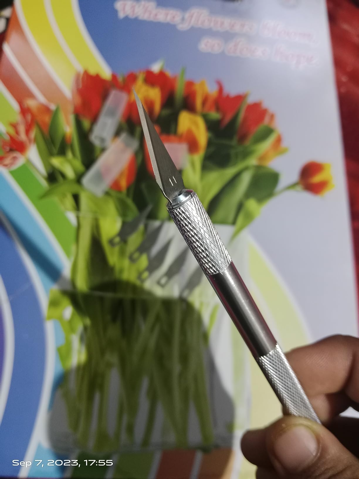 Mcare Detail Pen Knife with 5 Interchangeable Blades. Sharp Pen Cutter ...