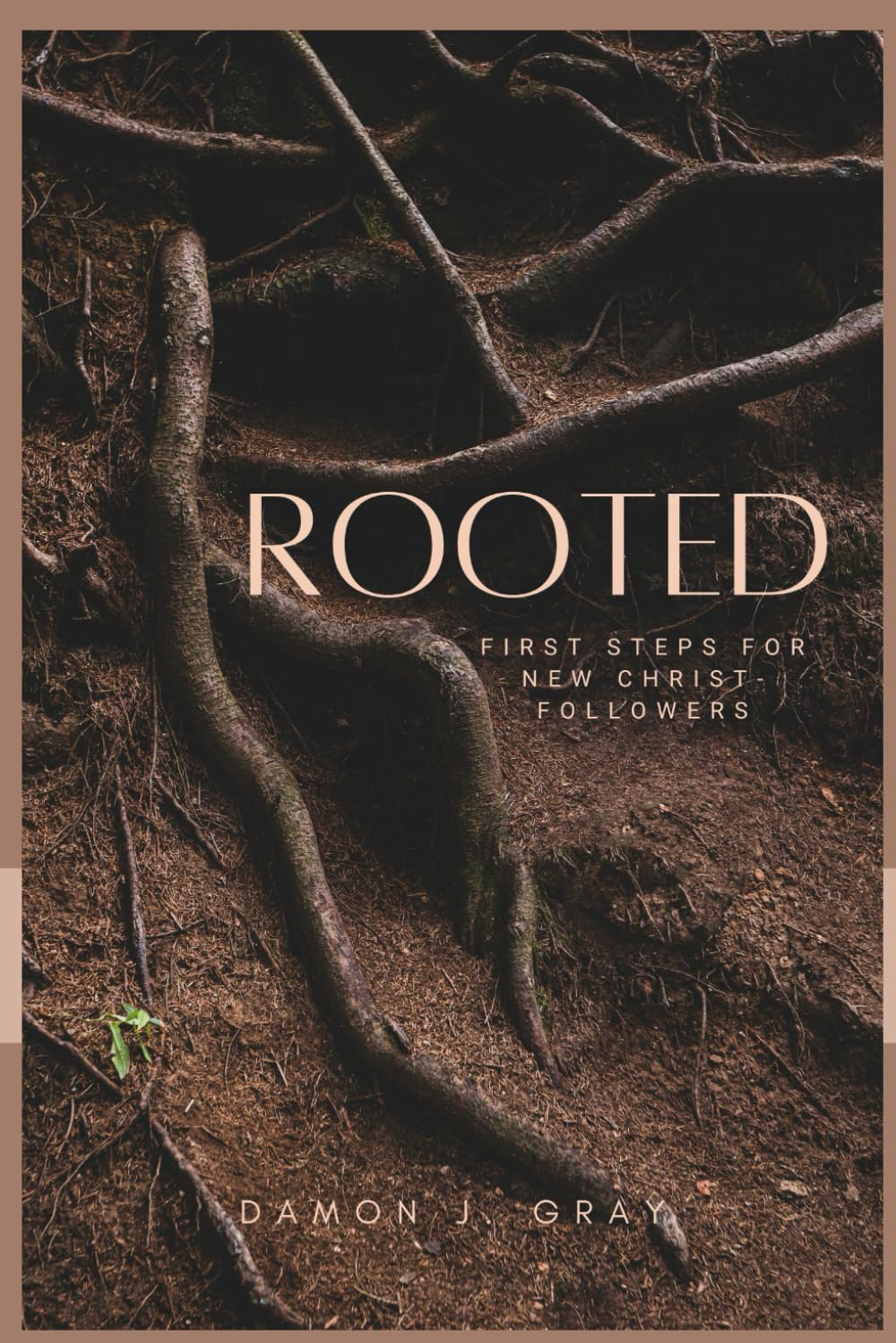 ROOTED: First Steps for New Christ-Followers: Gray, Damon J ...