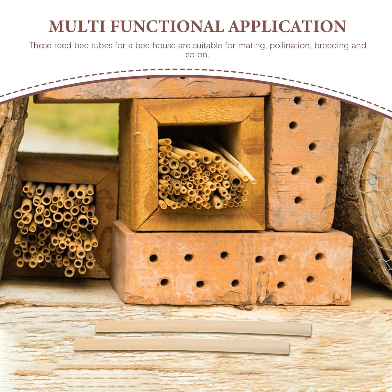 Snapklik.com : 500 Pcs Natural Phragmite Reed Mason Bee Tubes Set Bee ...