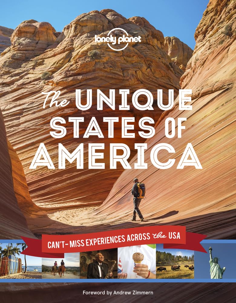 The Unique States of America: Planet, Lonely: 9781788686419: Amazon.com ...