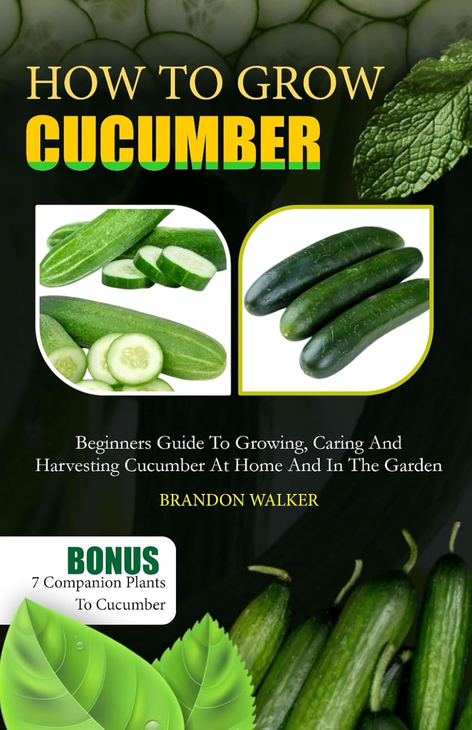 HOW TO GROW CUCUMBER: Beginners Guide To Growing, Caring And Harvesting Cucumber At Home And in ...