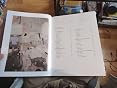 Disrupted Realism: Paintings for a Distracted World: Amazon.co.uk: John ...