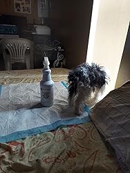 Amazon.com: AllerGuard Dust Mite and Bed Bug Spray : Patio, Lawn & Garden