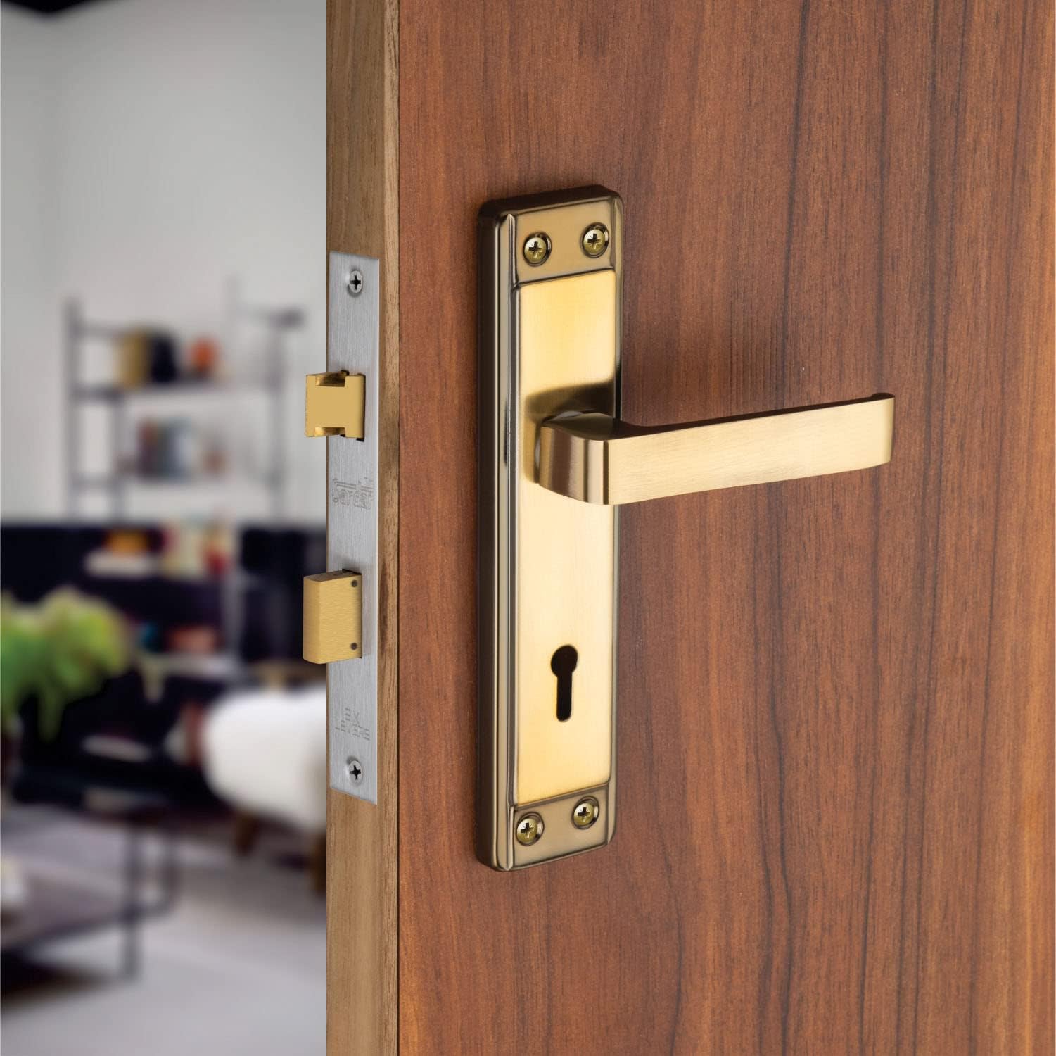 Metal Matte Pull Handle Door Handle Spring-Set Of 2 Piece,Black ...