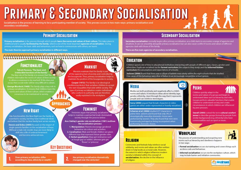 Sociology Posters