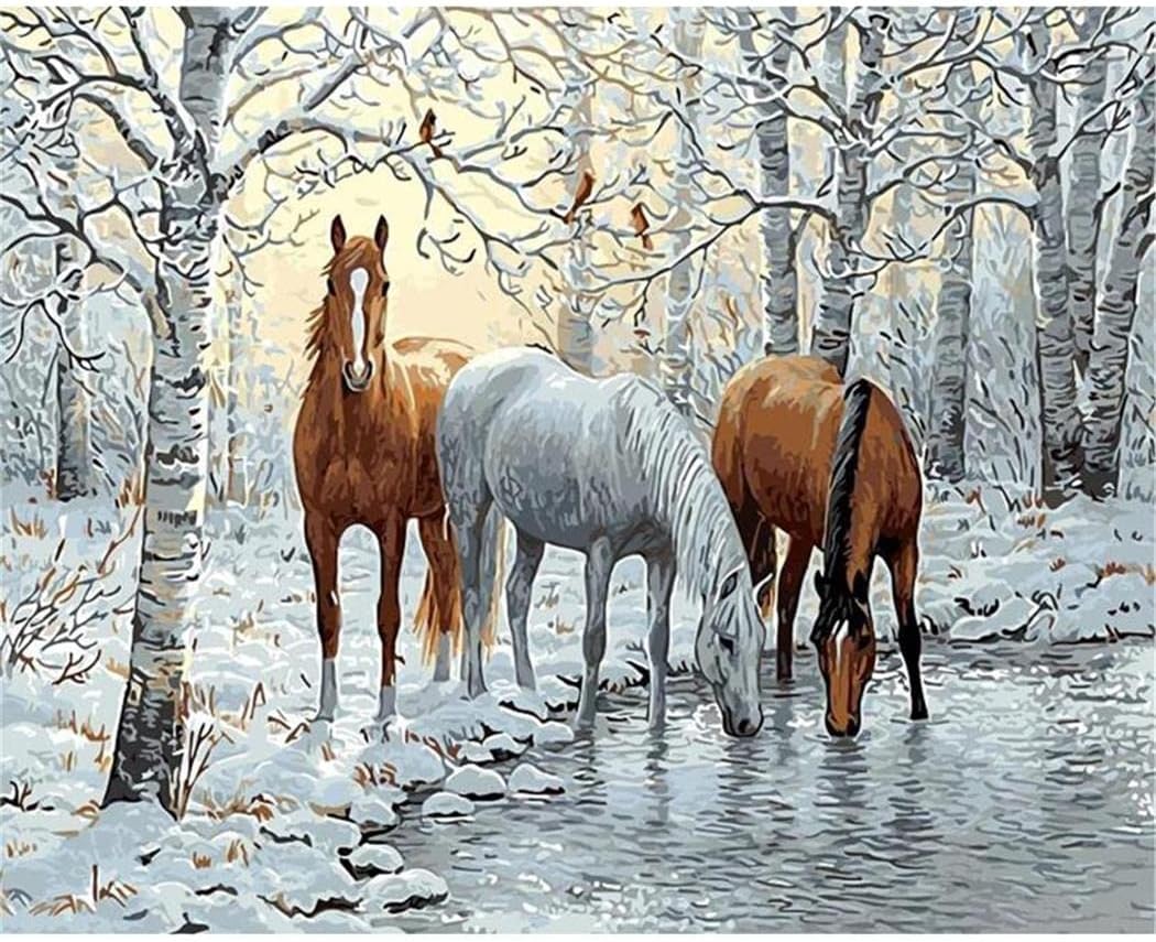 Paint by Number for Adults Winter Forest Horse DIY Canvas Oil Painting ...