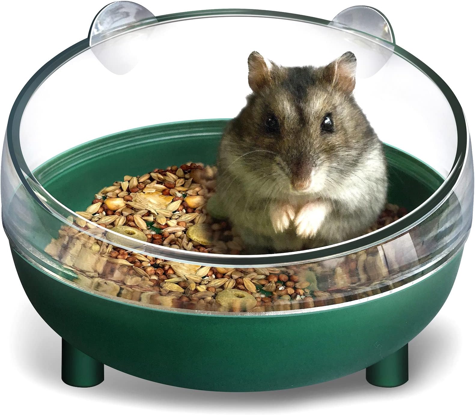 Amazon.com: Hamsters Feeder, Transparent Acrylic Feeder Tube and ...