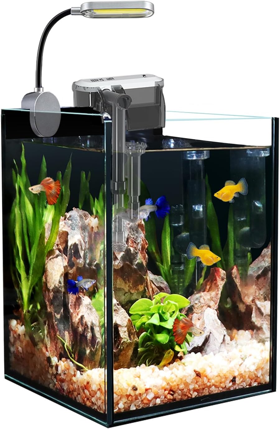 Amazon.com : Craftsboys 1.5 Gallon Fish Tank Starter Kits, Nano Glass ...