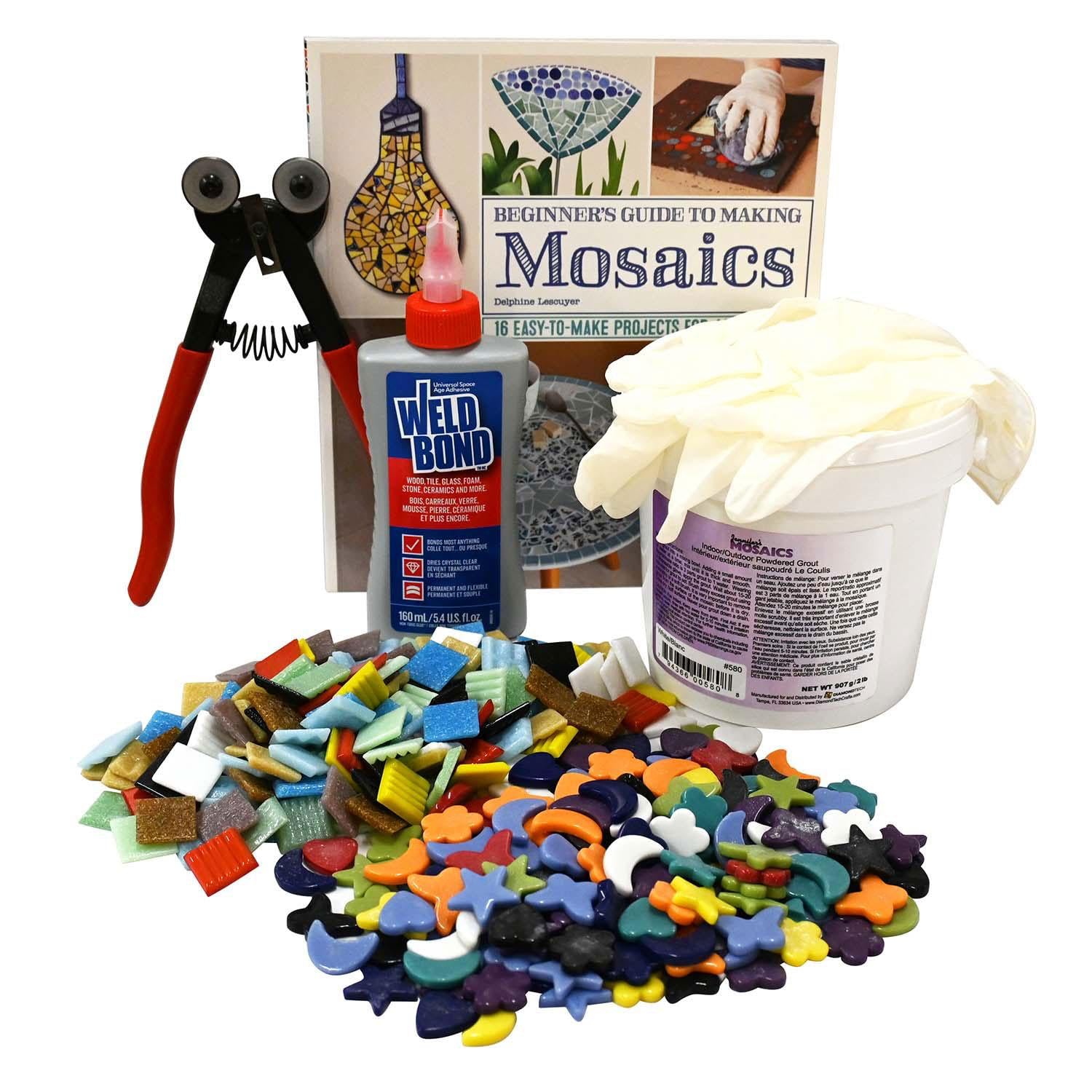 Amazon.com: Delphi Glass Glass Mosaic Starter Kit | Includes Colorful ...