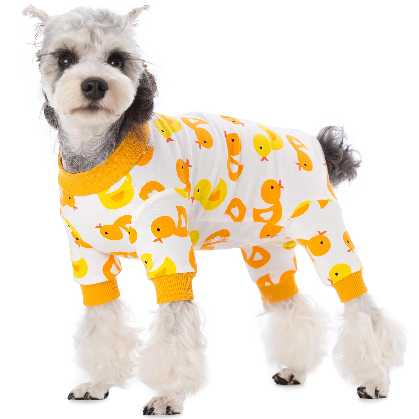 Amazon.com: Dog Surgery Recovery Suit, Dog Onesie for Surgery Female ...