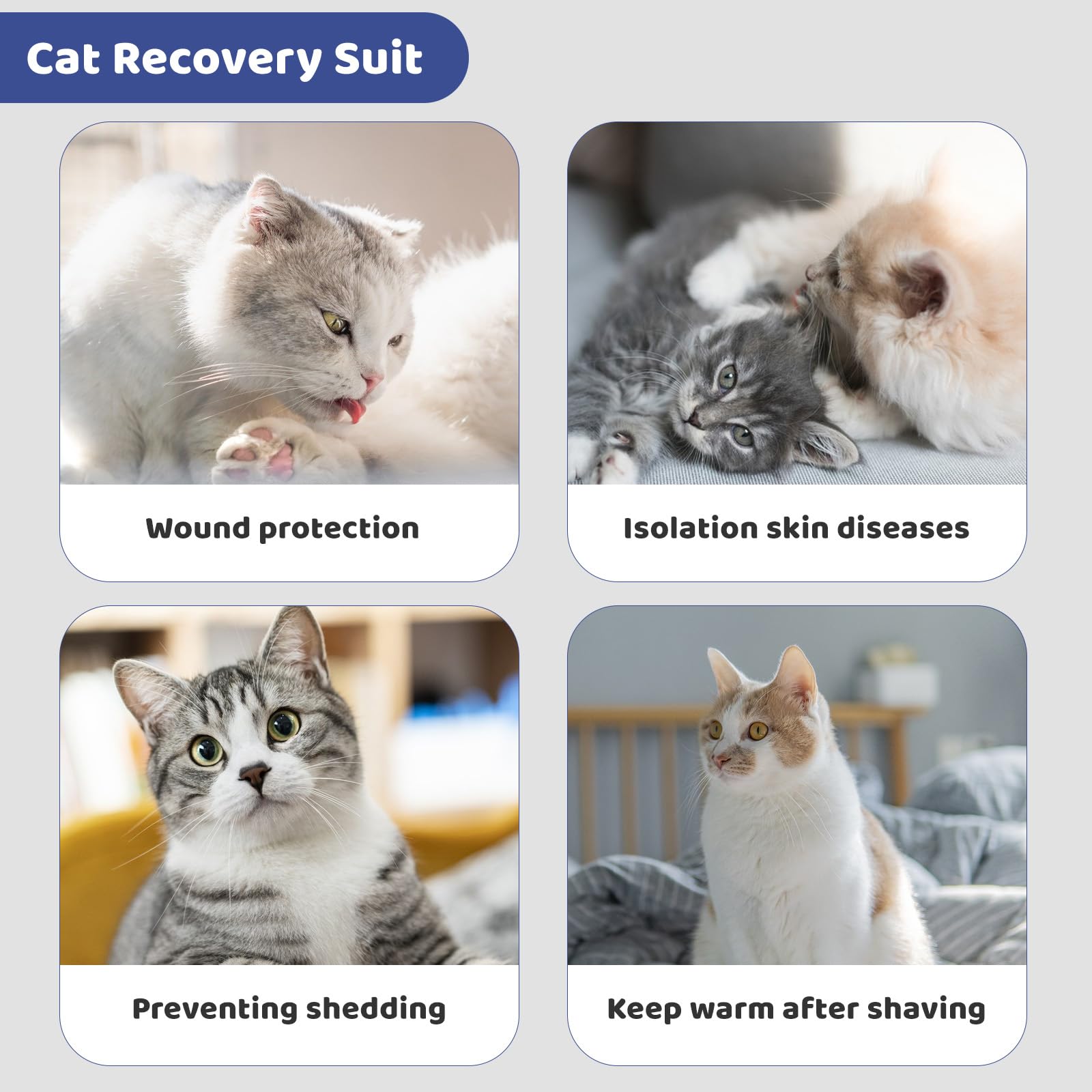 Cat Recovery Suit Cat Surgical Recovery Suit Professional Cat Bodysuit ...