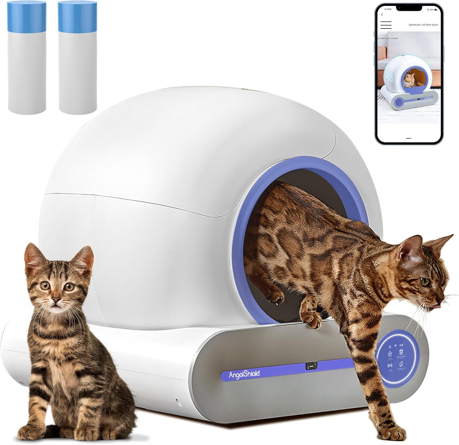 Amazon.com : Bebeblue Self Cleaning Cat Litter Box, Automatic Cat ...