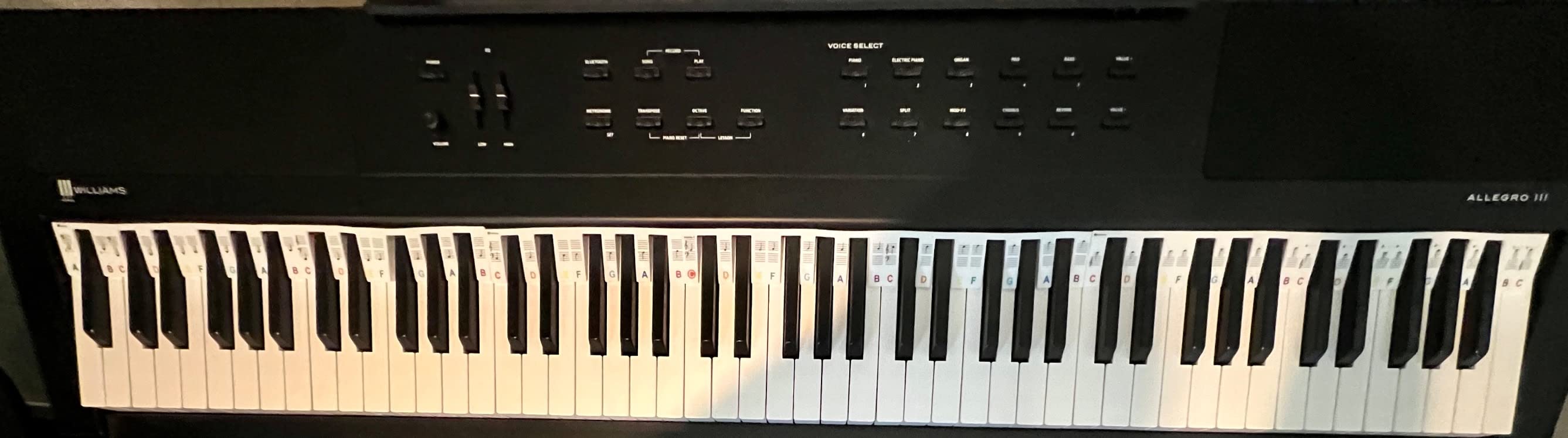 $2/mo - Finance Piano Notes Guide for Beginner - Removable Silicone ...