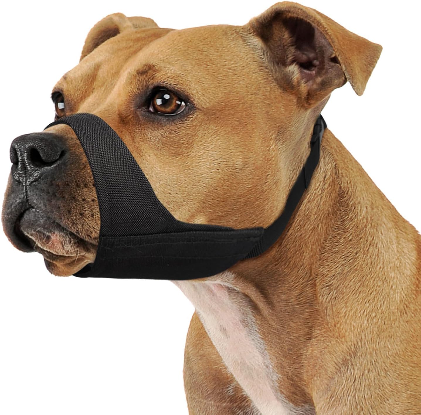 Amazon.com : Short Snout Dog Muzzle, Soft Muzzle for Small Medium Large Dog, Muzzle for ...